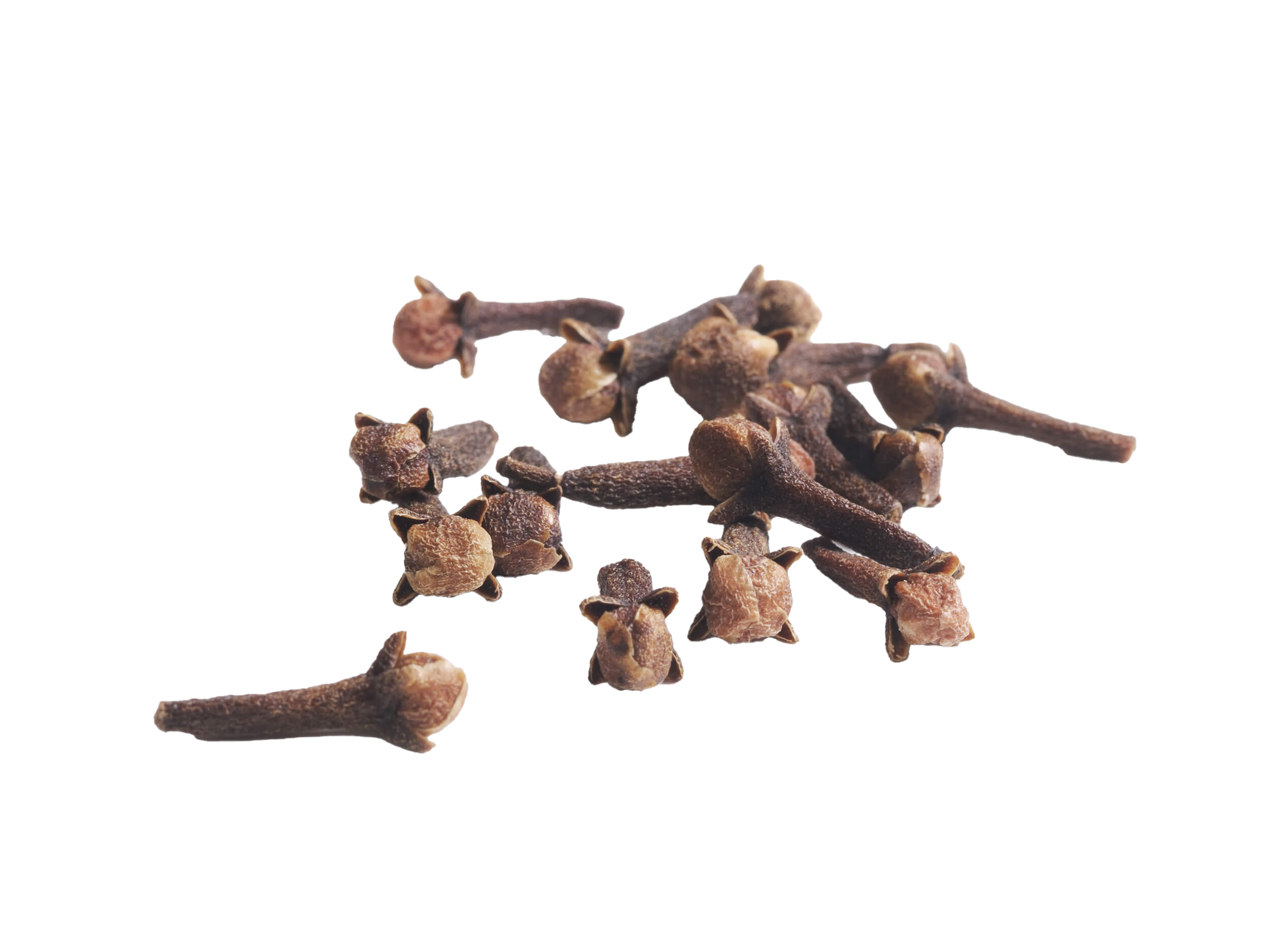 Clove – Born Bathing