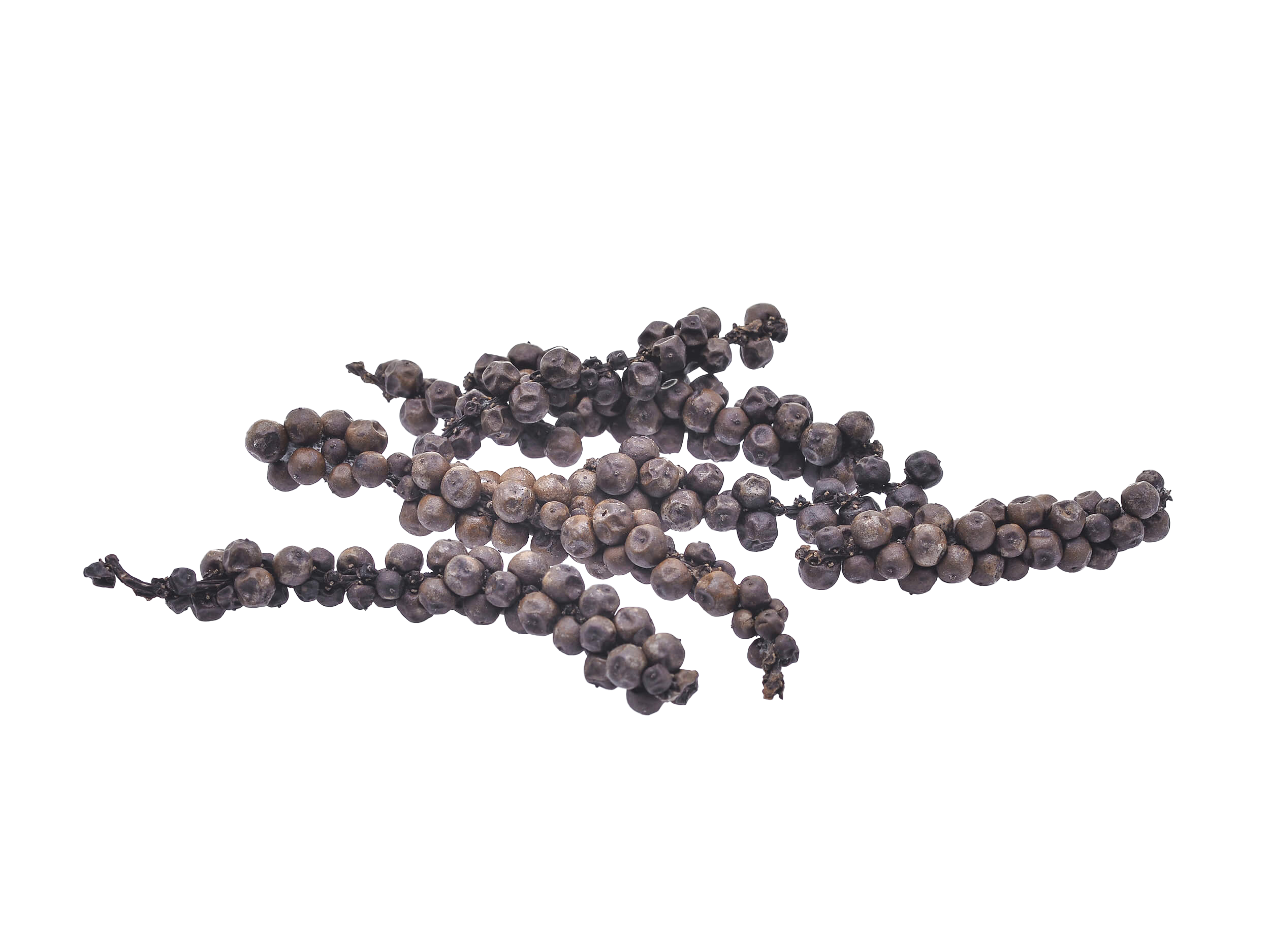 Black Pepper – Born Bathing